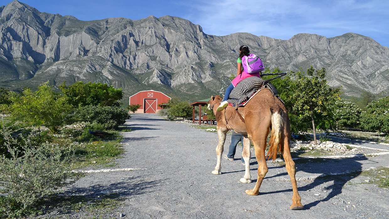 Tour a Xenpal en Monterrey - Rio Adventure Mexico