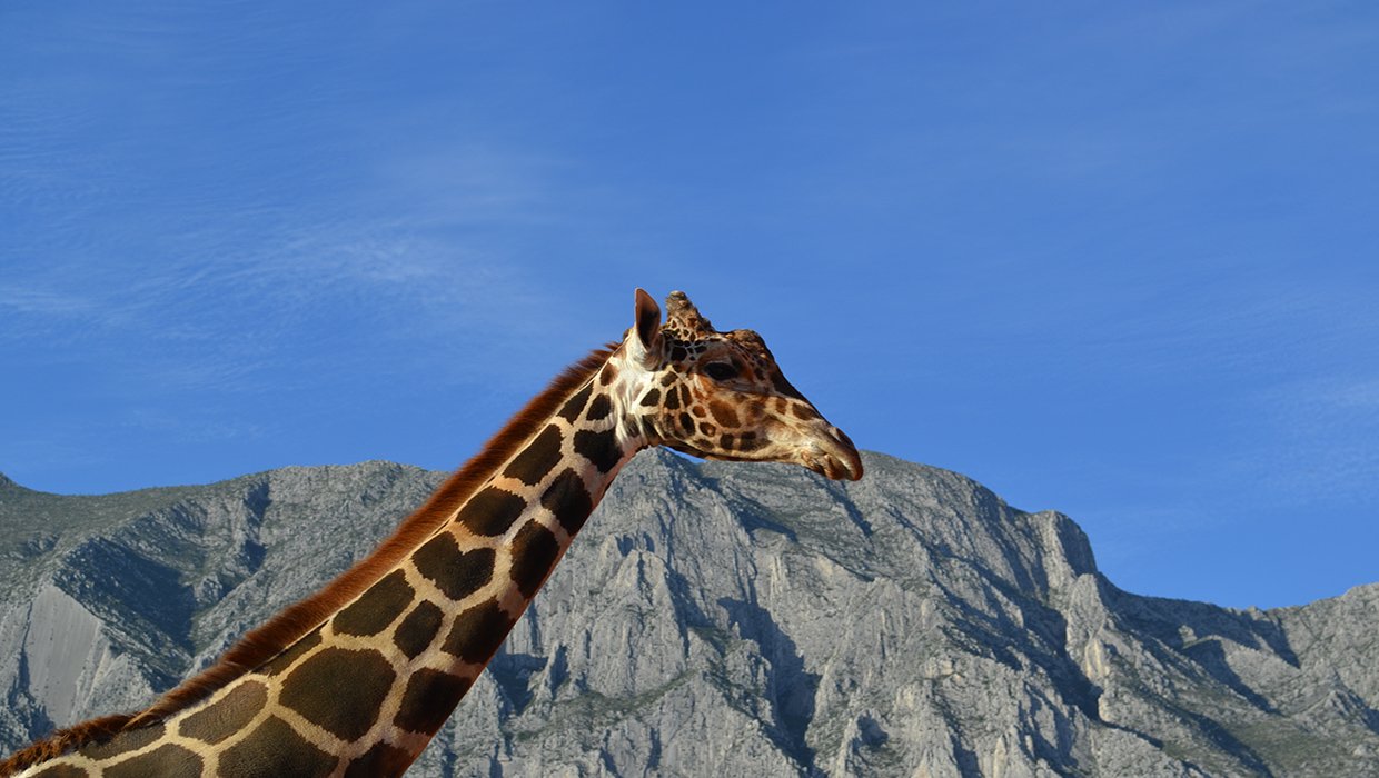 Tour a Xenpal en Monterrey - Rio Adventure Mexico