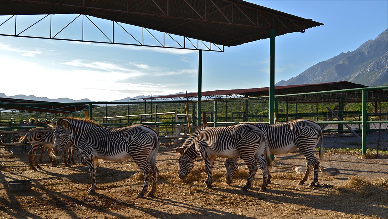 Tour a Xenpal en Monterrey | Rio Adventure Mexico